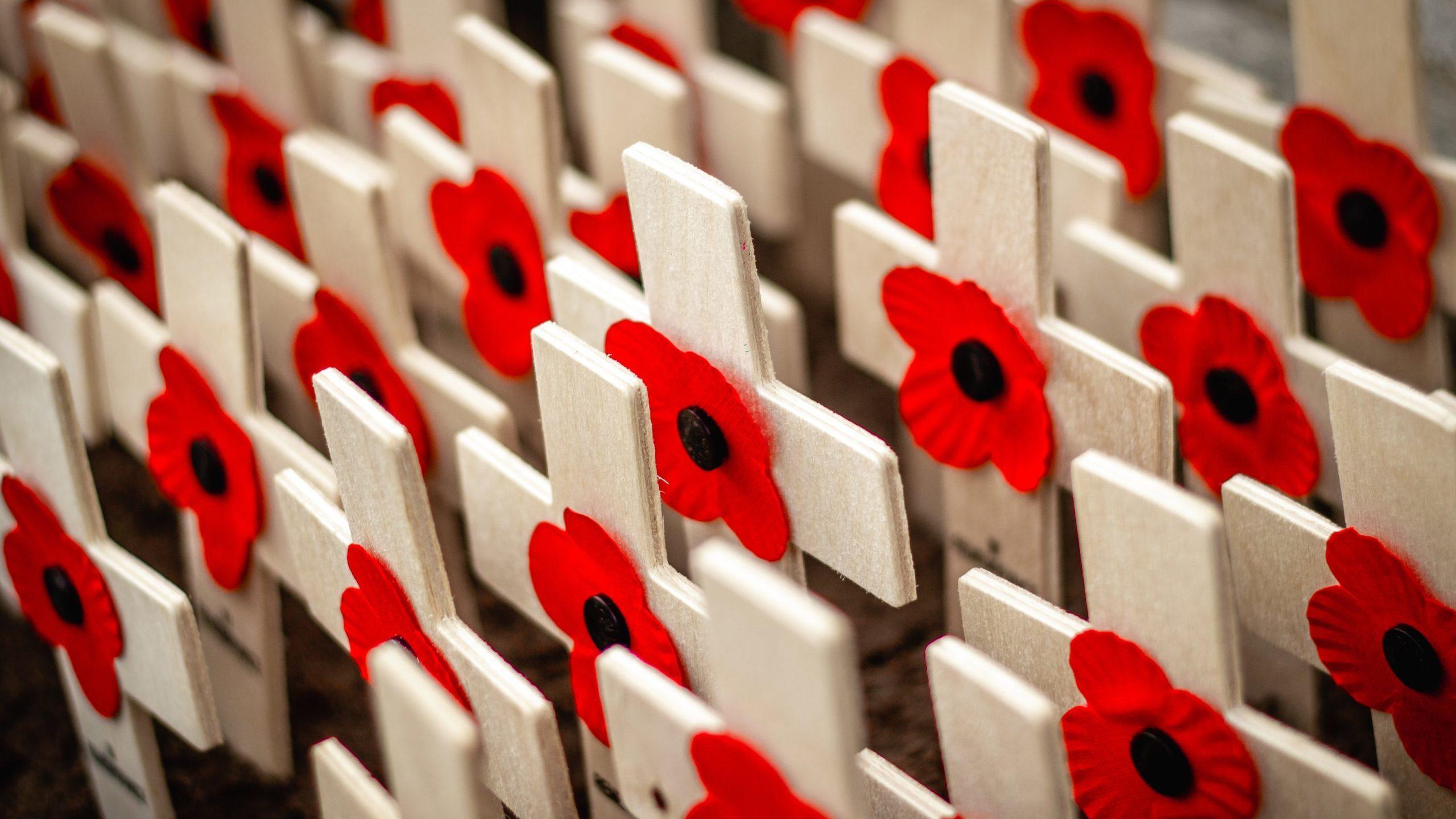 Poppy Appeal 2020 raises £200,000 - Channel Eye