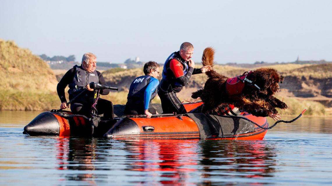 Condor Ferries supports the lifesaving Jersey Big Dog Club - Channel Eye