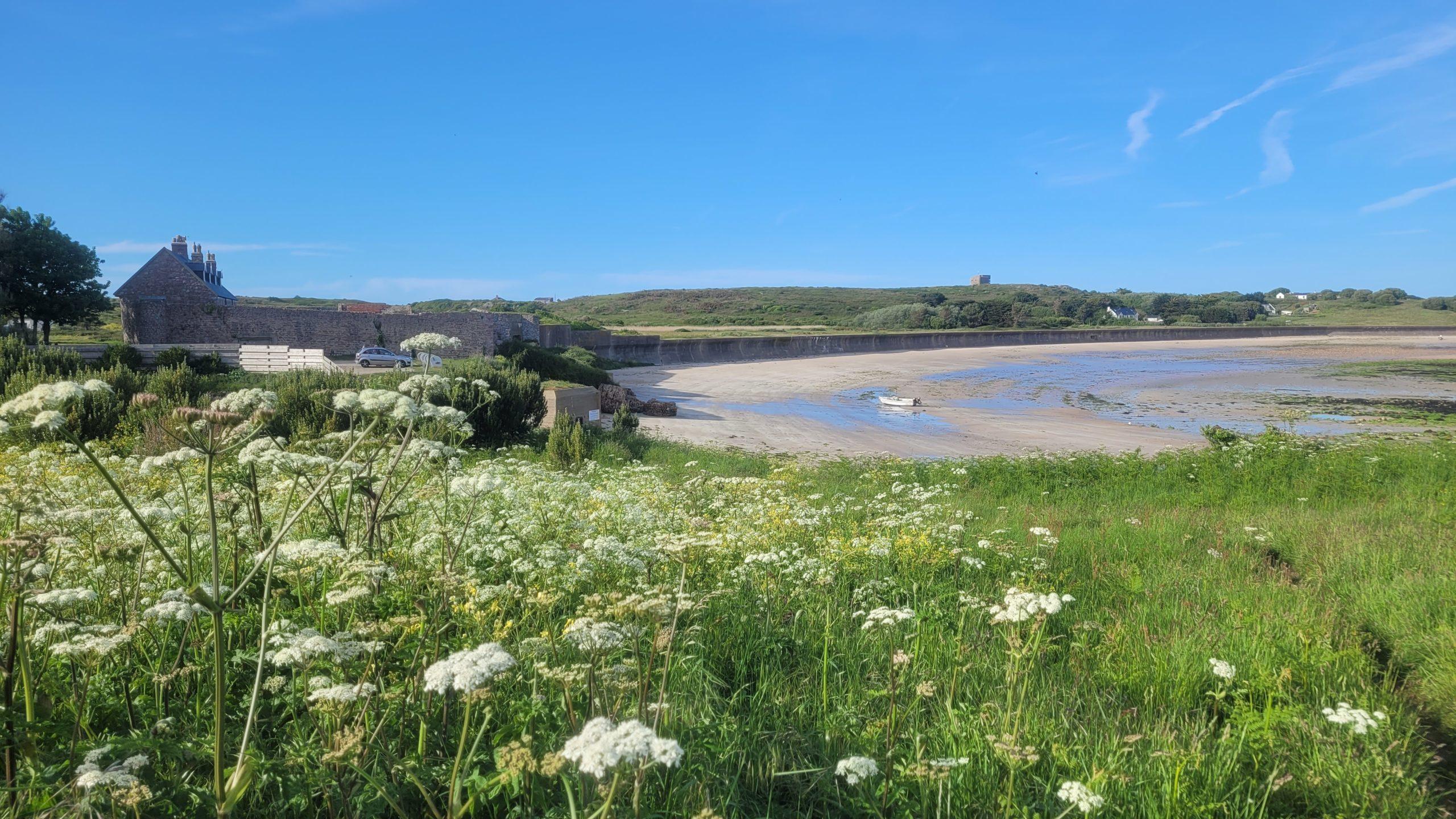 Revised draft of Alderney Biodiversity Strategy goes out for further ...