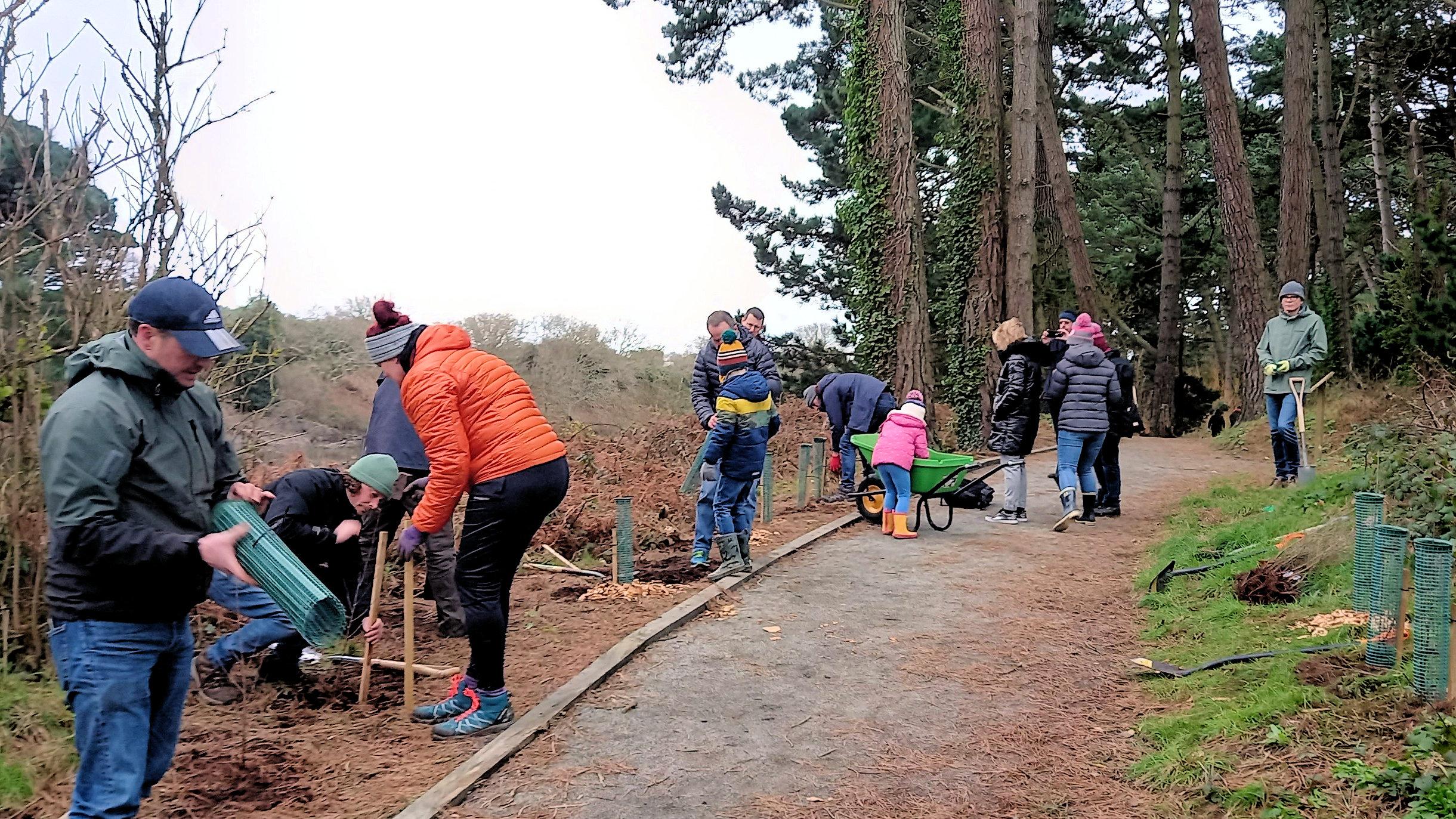 'Give a tree for Christmas' and support the local community - Channel Eye