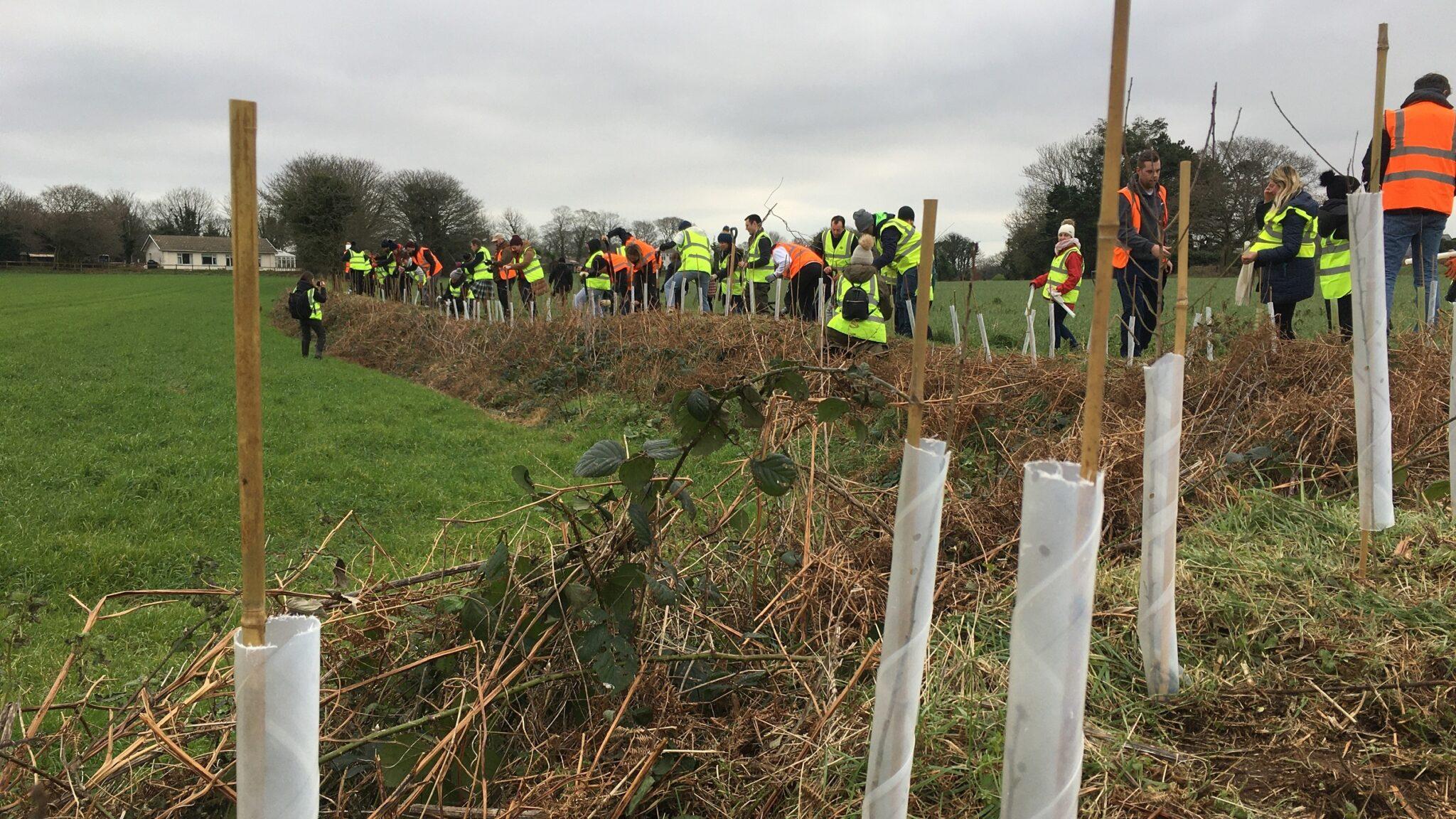 HSBC employees support Trees for Life hedgerow conservation campaign ...