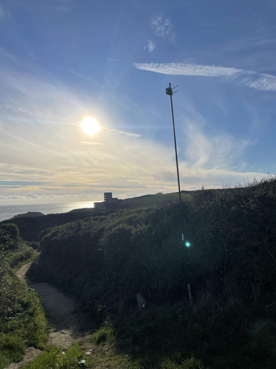 The Bailiwick Bat Survey’s 2023 surveying season begins! - Channel Eye