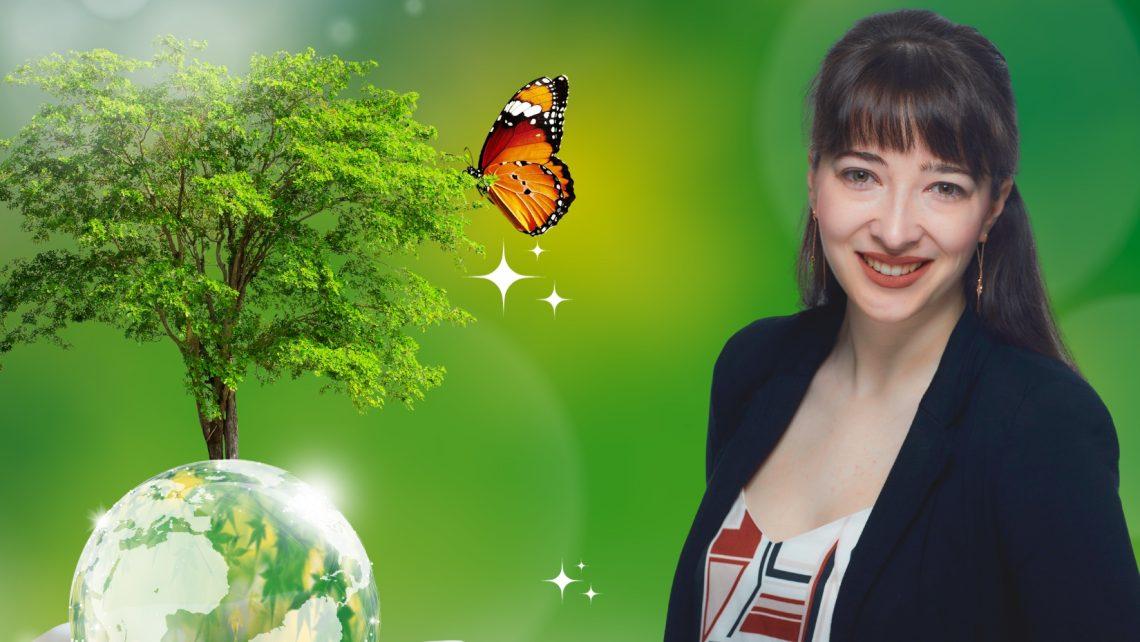 Demystifying organisational decarbonisation - Channel Eye