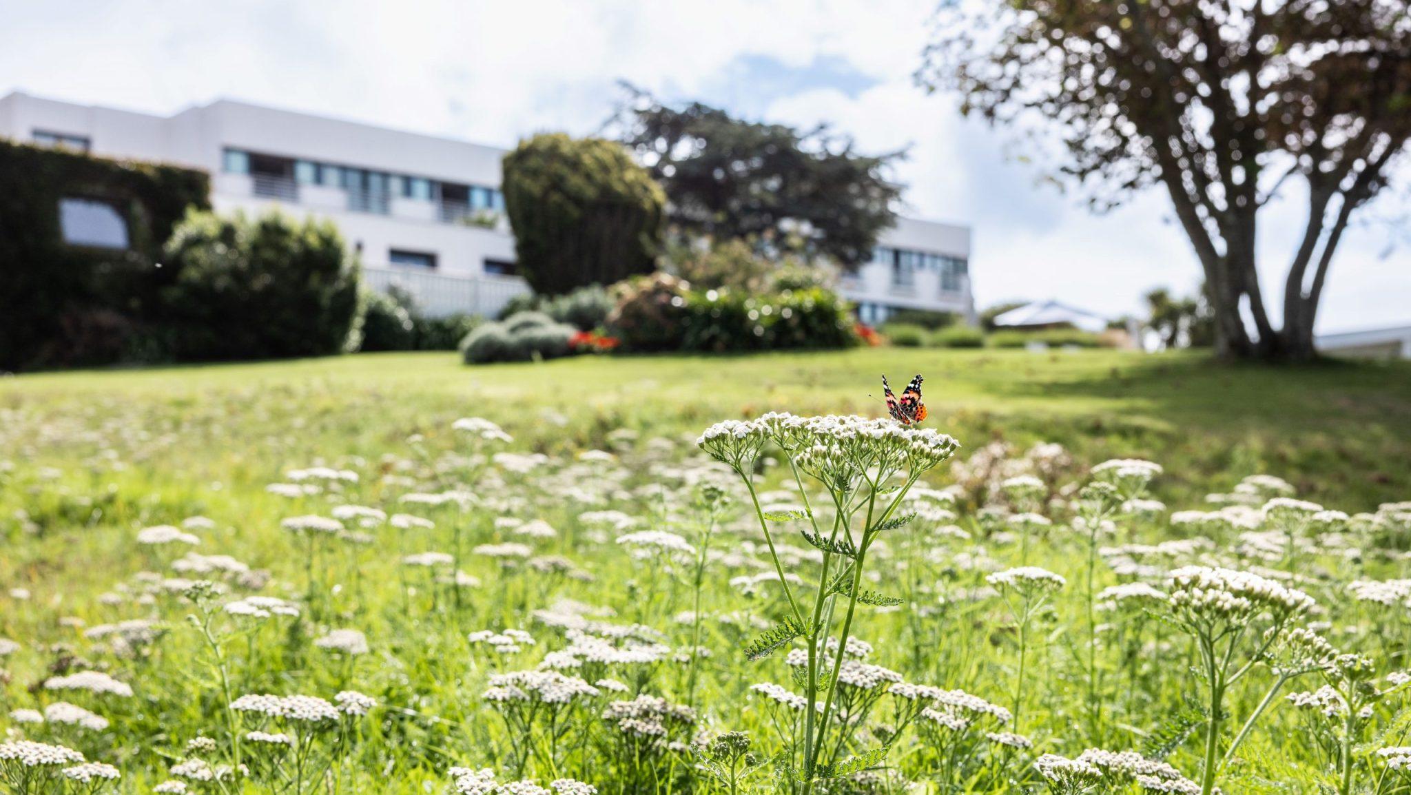 The Atlantic Hotel retains EarthCheck Silver Certification - Channel Eye