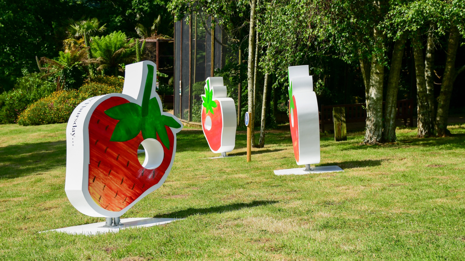 The Very Hungry Caterpillar™ trail - Channel Eye