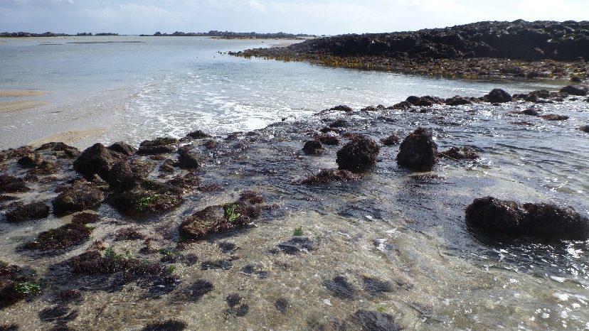 Grant approved for scientific research project in Ramsar site - Channel Eye