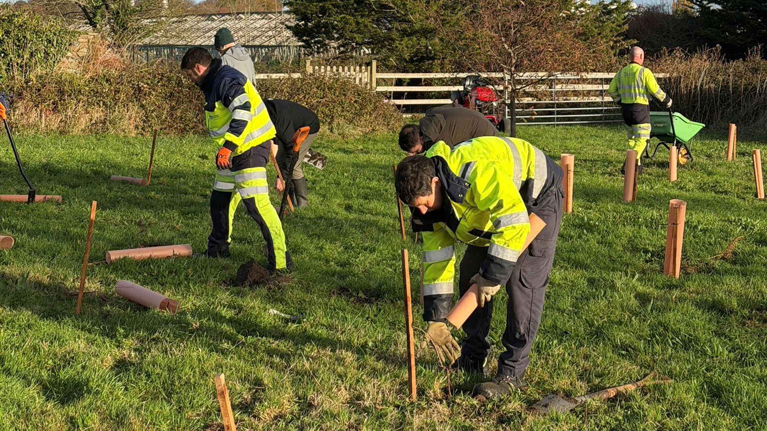 Guernsey Electricity plants 125 trees to celebrate 125th anniversary ...