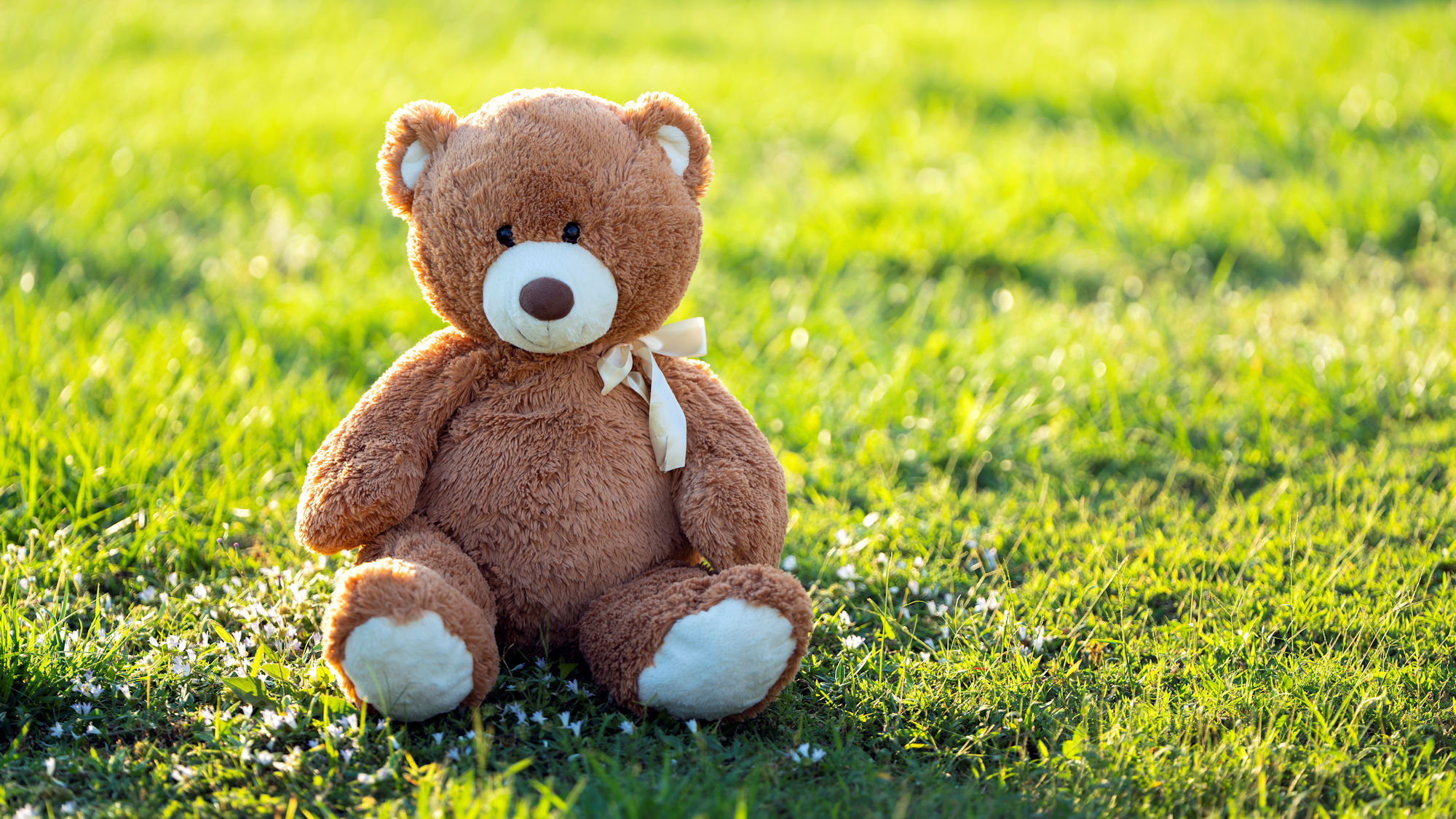 Jersey textile artist recognised as Channel Islands teddy bear restorer ...