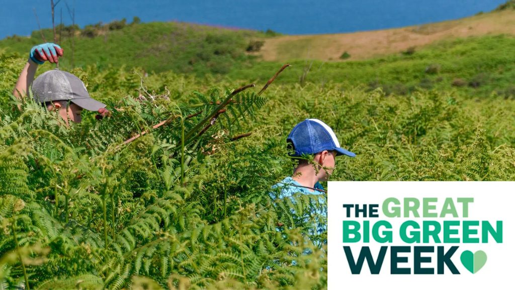 Green Sunday - Volunteering with Jersey Trees for Life - Channel Eye